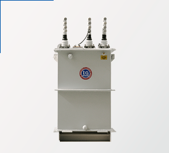 Single-Phase Submersible Transformer - Grupo IG